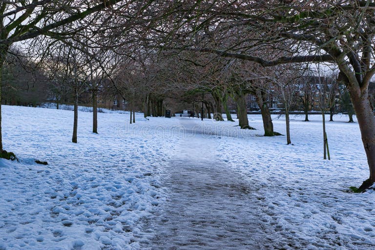 Snow-Covered Path in a Park with Bare Trees and Buildings in Harrogate ...