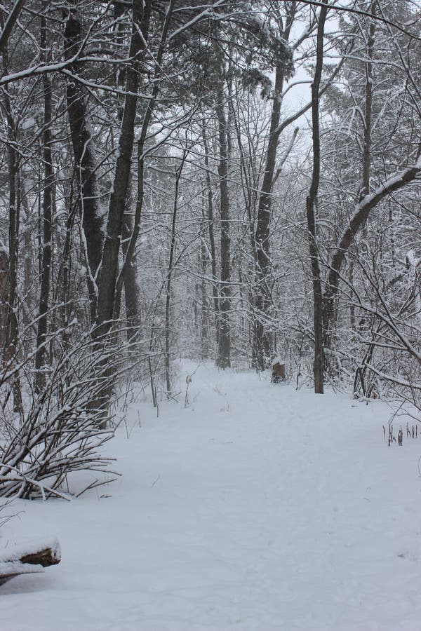 Snow covered path stock image. Image of covered, canada - 243200657