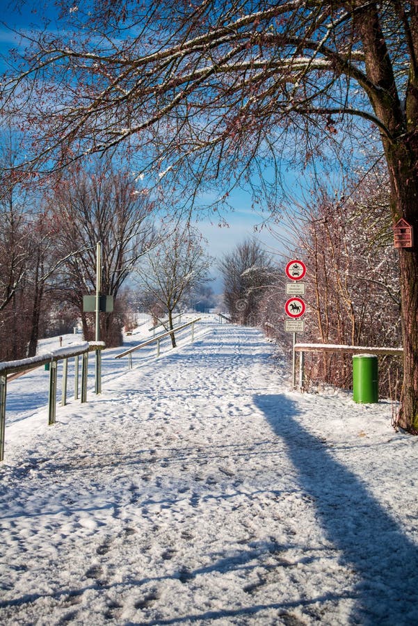 Snow Covered Path in Winter Stock Image - Image of blue, morning: 237230917