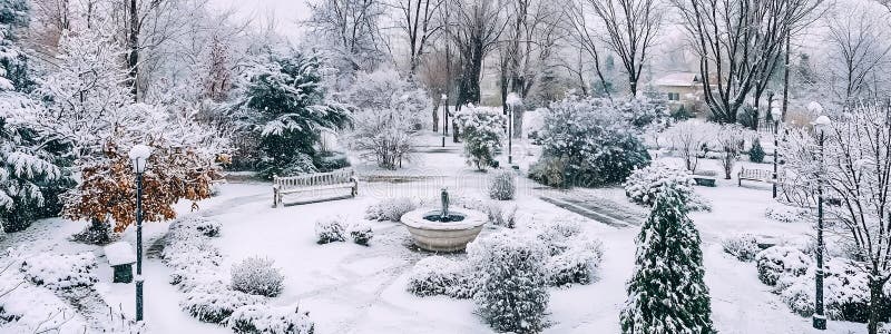 Snow-covered Paths Wind through a Peaceful Winter Garden Stock ...