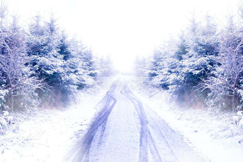 Snow Covered Pathway with Tire Tracks in Forest Stock Photo - Image of ...