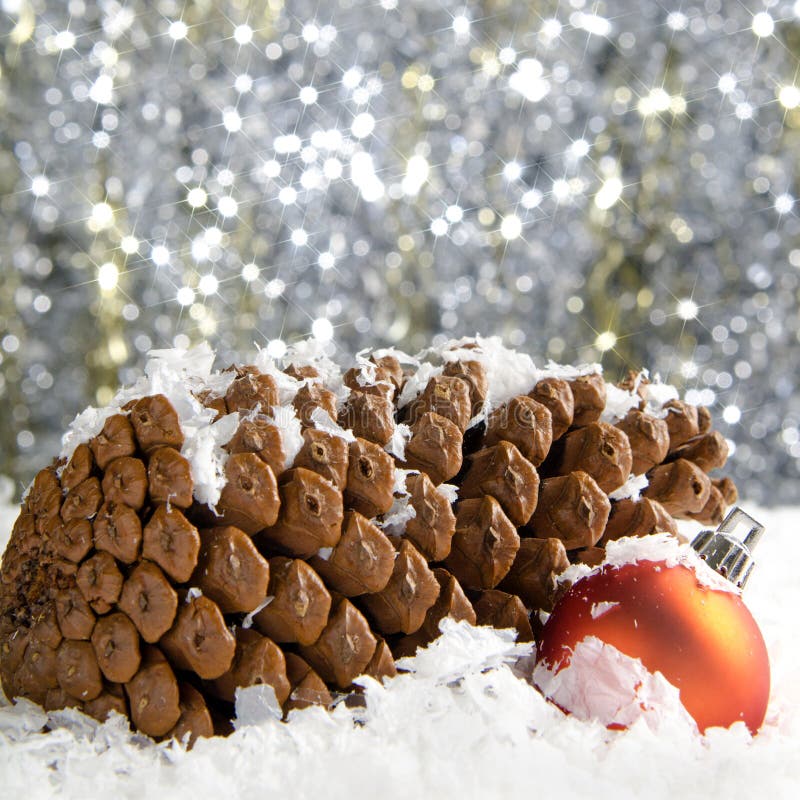 Snow covered pine cones stock image. Image of winter - 17464483