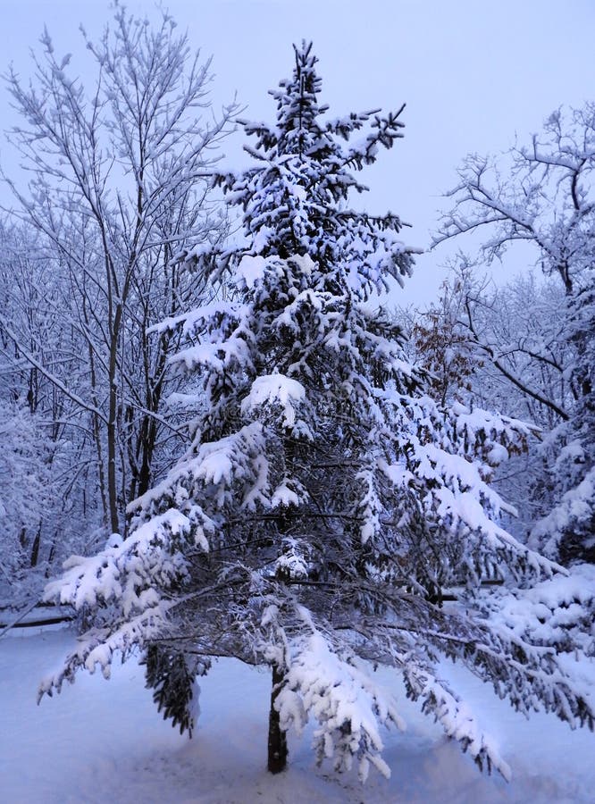 Snow Covered Rock Pier Jetty into Seneca Lake NY Stock Photo - Image of ...