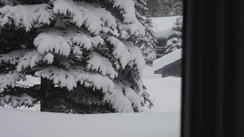 Cozy Cabin in the Snowy Woods at Night with Glowing Windows and Falling ...