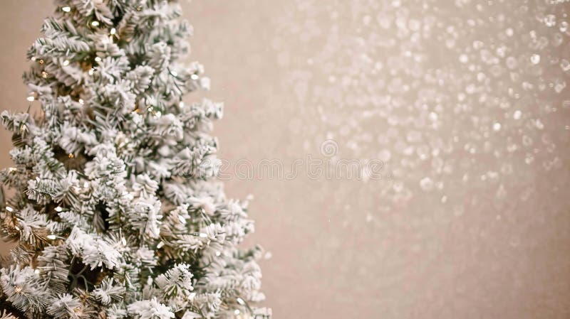 Snow Covered Pine Tree with Stunning Bokeh Background in Magical Winter ...