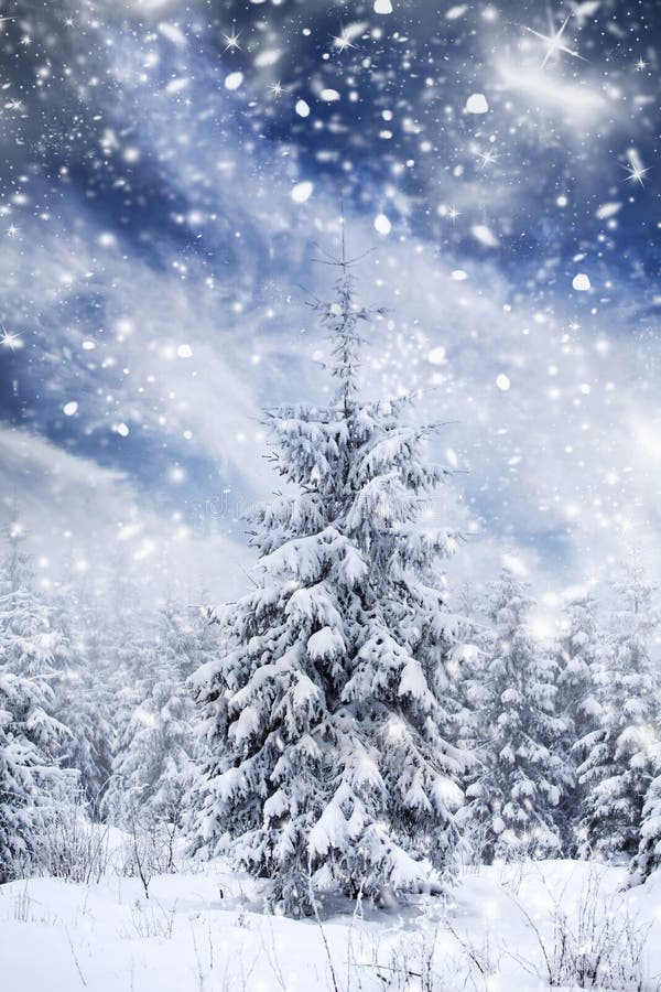 Snowfall in the mountains stock image. Image of weather - 102825063