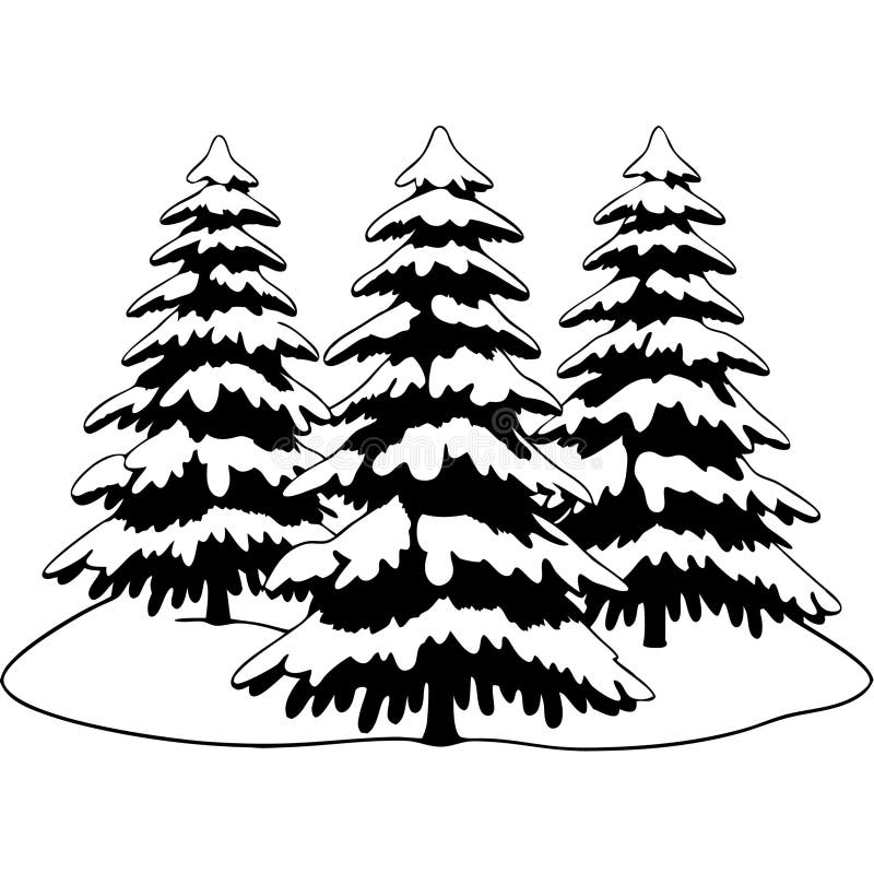 Snow Covered Pine Trees Winter Vector Illustration for Holiday Decor ...