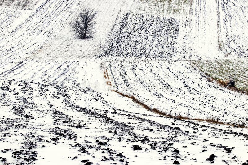 Snow-covered Plowed Field. Agricultural Land in Winter Stock Photo ...