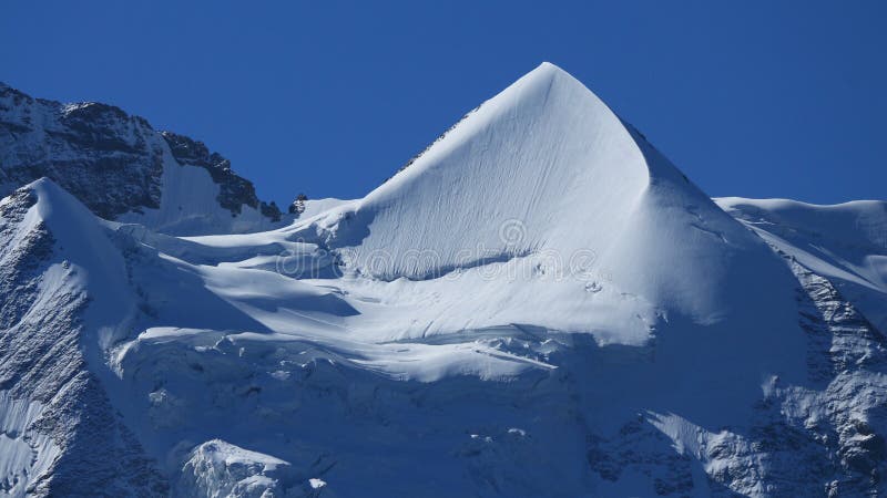 Snow Covered Pointed Peak of Mount Silberhorn Stock Photo - Image of ...