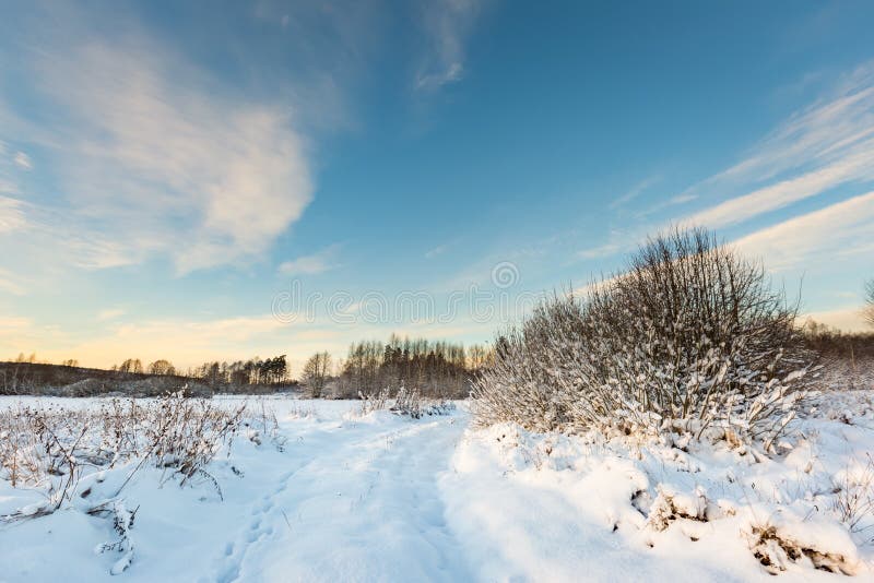 Snow Covered Polish Landscape. Stock Image - Image of field, covered ...