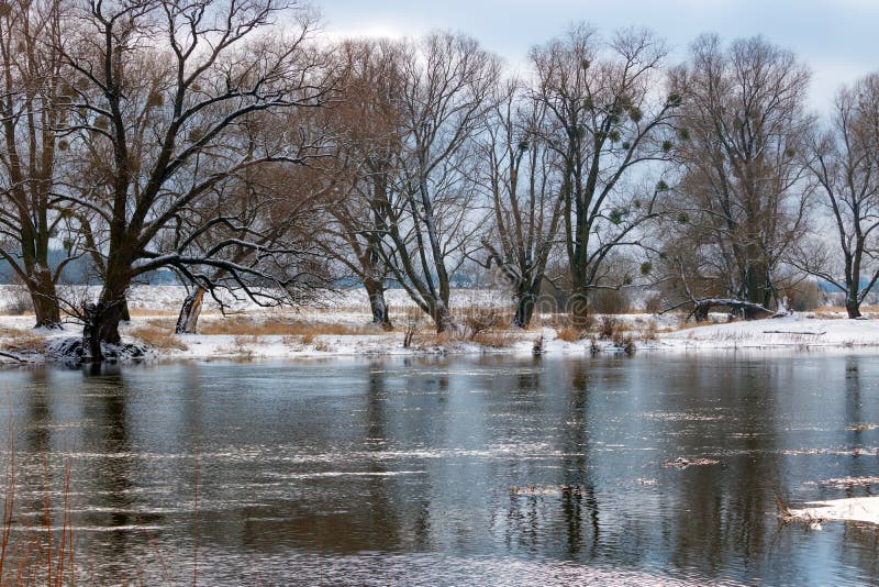 Snow-covered River Bank in Winter. Winter Landscape Stock Photo - Image ...