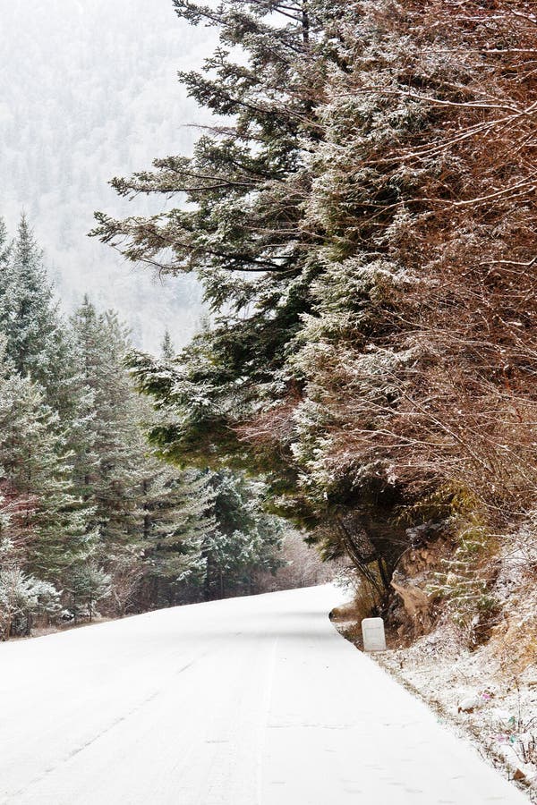 Snow Covered Road During Golden Hour Picture. Image: 110984013