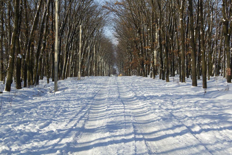 Snow Covered Road with Car in Far. Stock Image - Image of outdoors ...