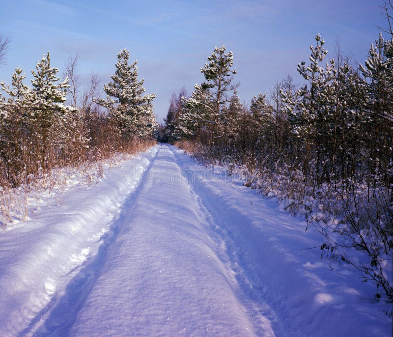 Snow covered road stock image. Image of winter, forest - 49327959