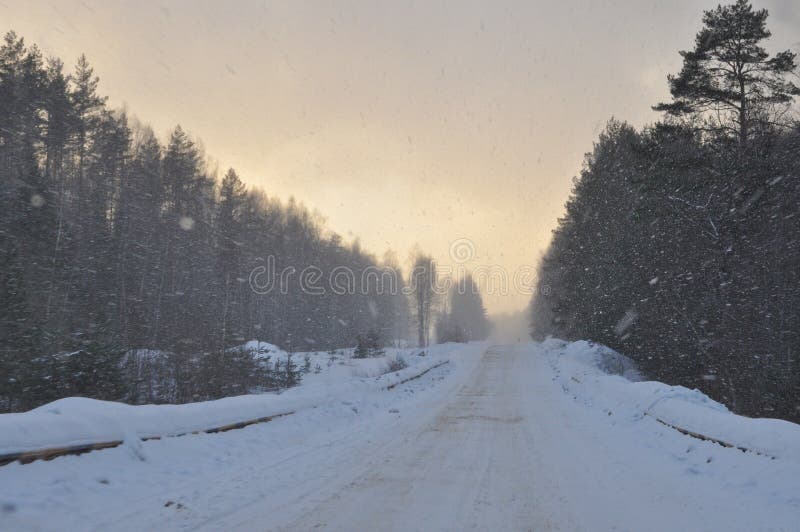 Snow-covered Road during a Heavy Snowfall Stock Photo - Image of ...
