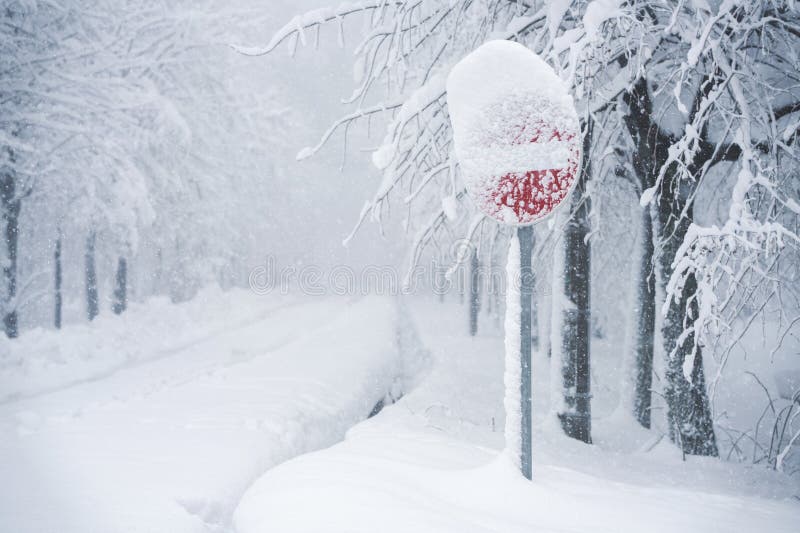 Snow Covered Road Sign in Winter Forest Stock Photo - Image of ...
