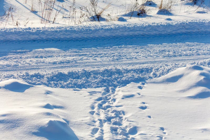 A Snow Covered Road with Tire Tracks in the Snow Stock Photo - Image of ...