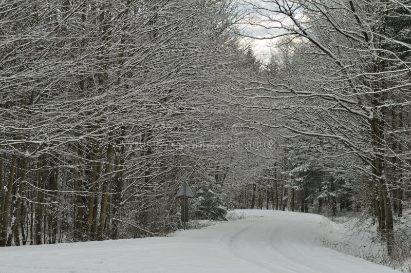 Snow-covered road stock image. Image of winter, tranquil - 65308579