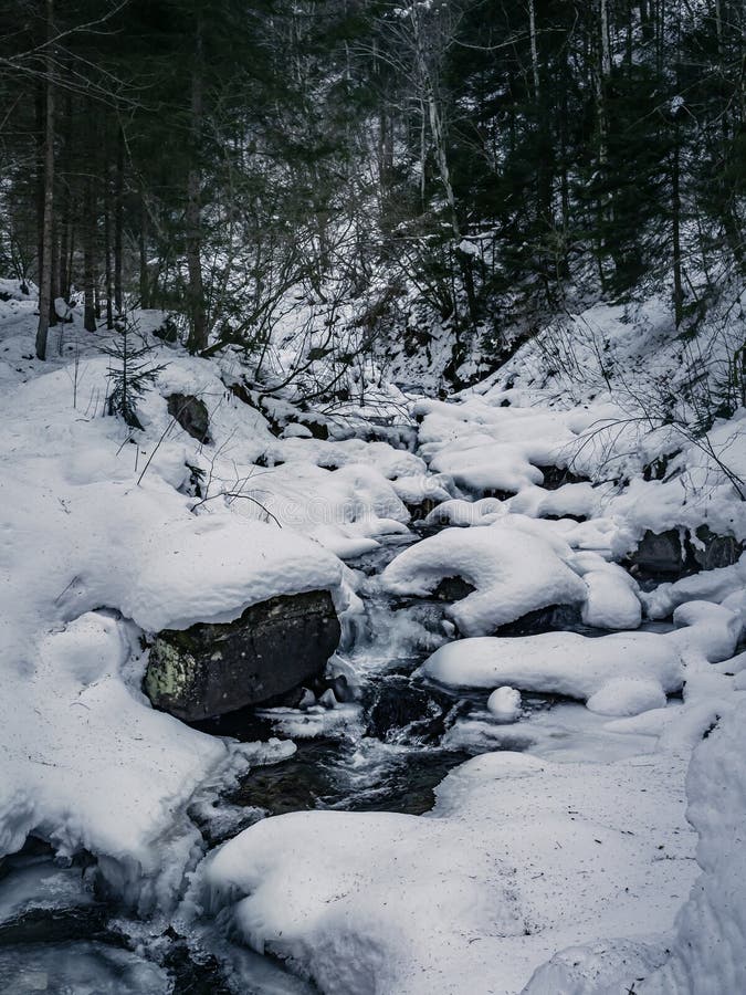 Snow Covered Rocks in a Forest Stream during Winter Stock Photo - Image ...
