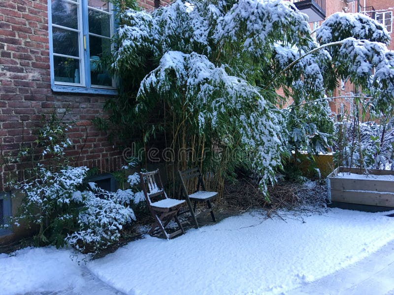 Snow Covered Seating and Bamboo Plant by Historic Brick Facade Stock ...