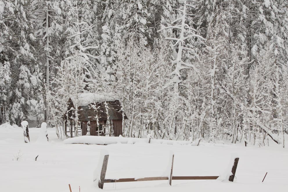 Snow Covered Shack stock photo. Image of building, cabin - 22984916