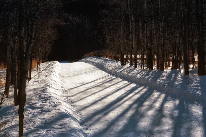 Snow Covered Shadowy Pathway Stock Photo - Image of natural, beautiful ...