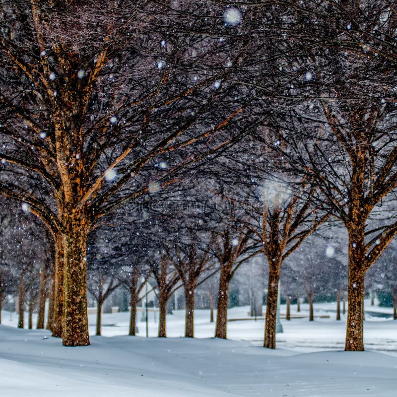 Alley Full of Snow by Night Stock Image - Image of night, lonely: 23373845