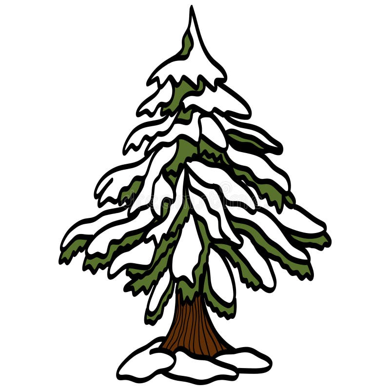 Snow Covered Spruce Evergreen Tree Illustration Stock Vector ...