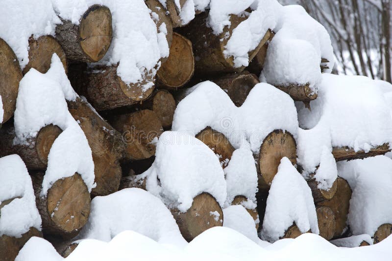 Snow covered stack of wood stock photo. Image of stacked - 59844244