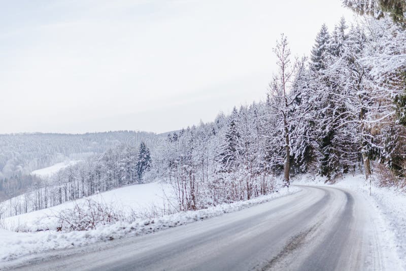 Snow-covered Street and a View of the Forest Stock Photo - Image of ...