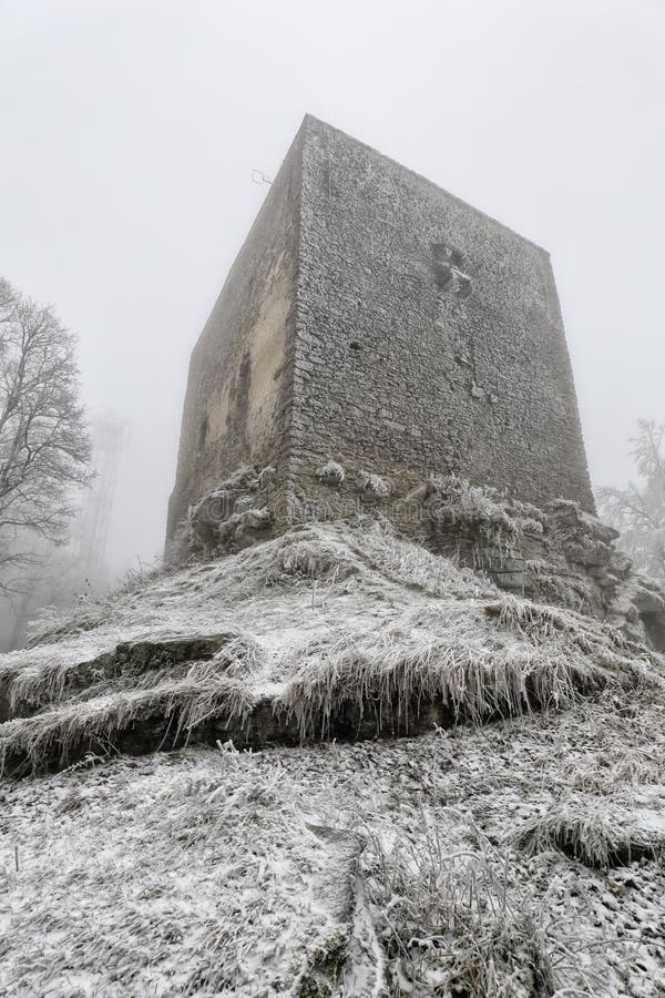 Dd lonely tower medieval ruin forest - perymon