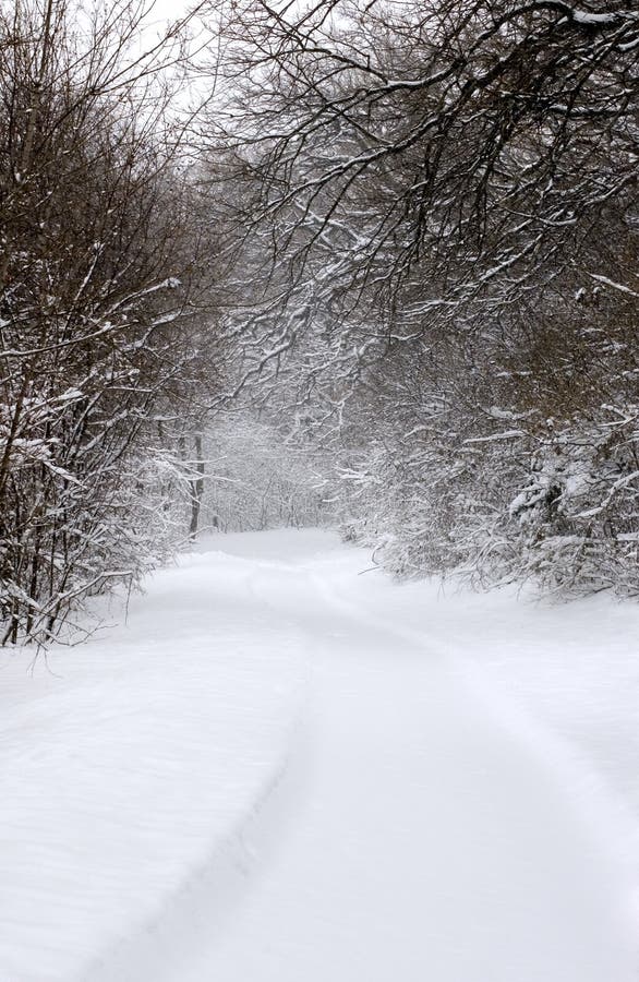 Snow Covered Trail 1 stock image. Image of hike, active - 398117