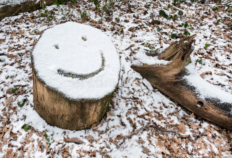 Snow Covered Tree Stump with Smiley Face Emoji Stock Image - Image of ...