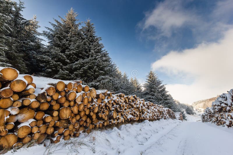 Snow Covered Trees and Logs Stock Image - Image of material, forest ...
