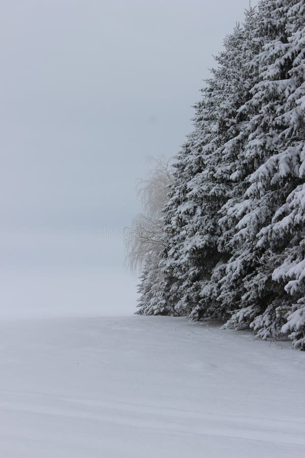 Quebec bridge stock photo. Image of calm, quebec, iron - 51862180