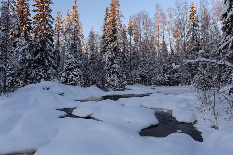Snow Covered Trees and a Stream in Winter Stock Photo - Image of ...