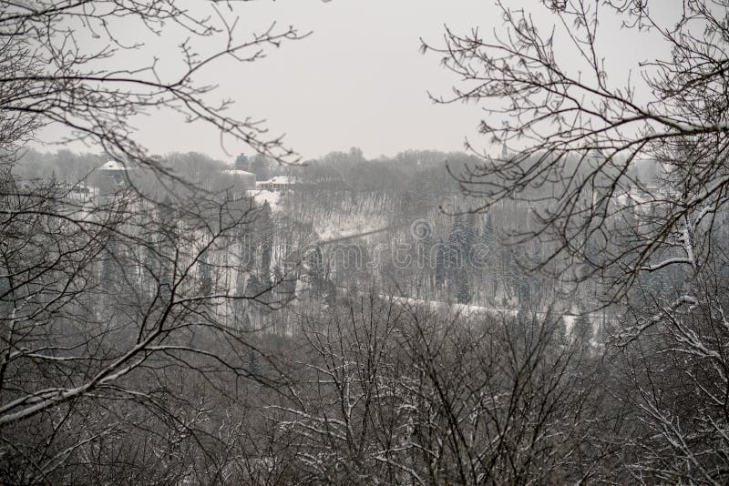 Snow Covered Trees in Winter Forest Stock Photo - Image of wood ...