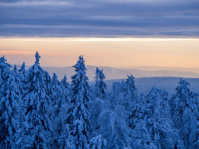 Snow-covered Trees in Winter at Sunset in the Foothills of the Ural ...