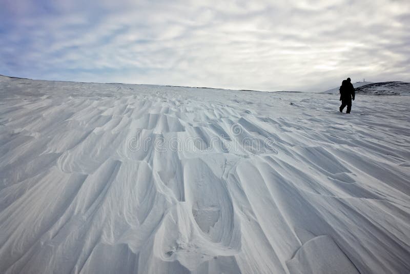 Snow-covered tundra. stock image. Image of cold, frozen - 36141487