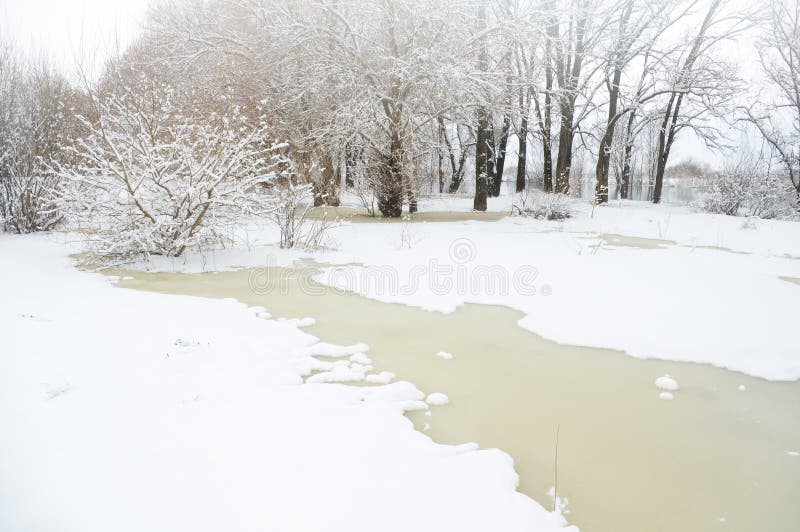 Snow-covered winter river. stock photo. Image of cold - 33261570