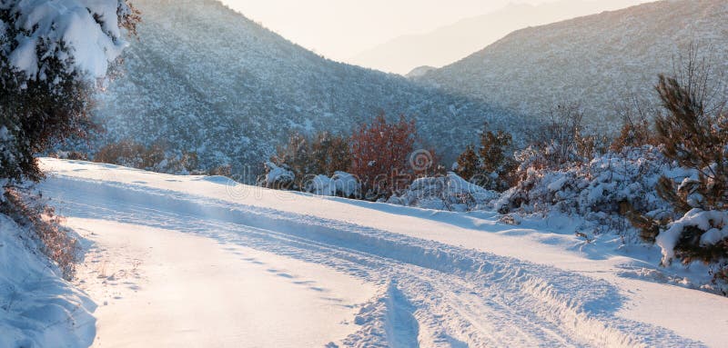 Snow covered winter road stock photo. Image of frost - 91271526
