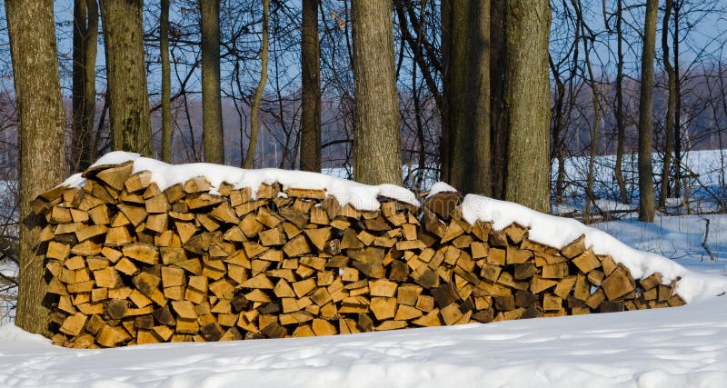 Wood pile closeup stock photo. Image of fire, camping - 43375066