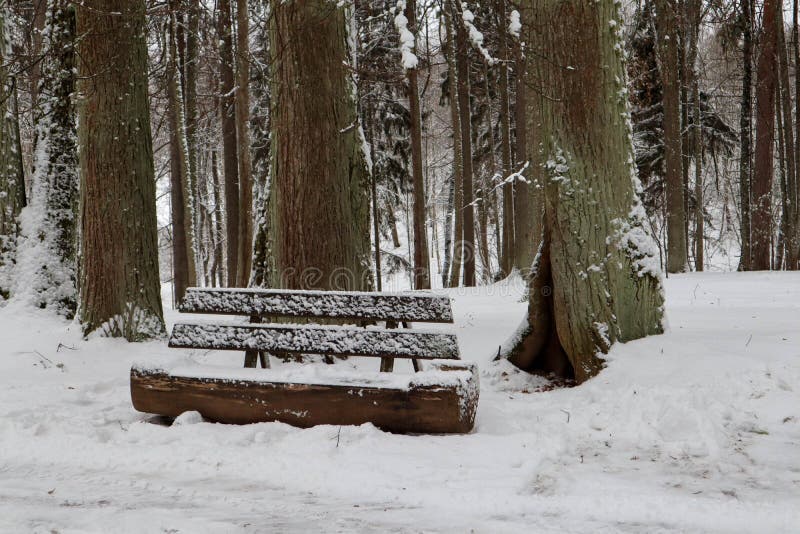 Snow Covered Wooden Bench Made from Tree Trunk in the Winter Park Stock ...