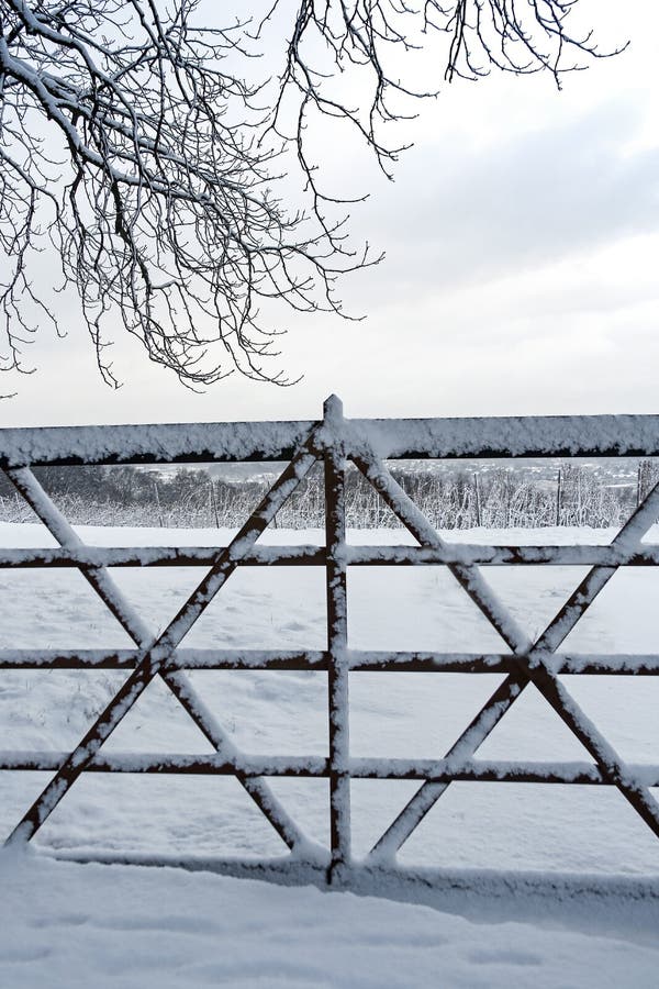 Snow covered wooden gate stock photo. Image of fence - 207545508