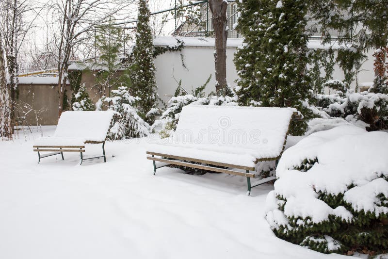 Snow covered yard. stock photo. Image of nature, snow - 139529642