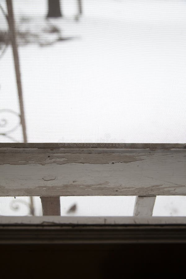 Snow-Covered Yard through Door Screen Stock Photo - Image of frozen ...