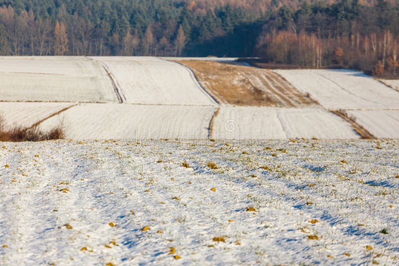 Snow covering the field stock photo. Image of country - 179912960