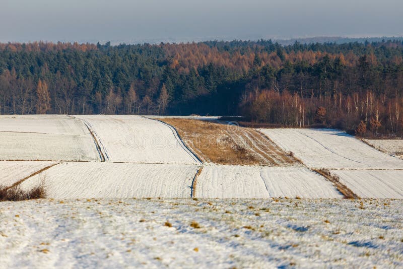 Snow Covering the Field during the Winter Stock Image - Image of ...