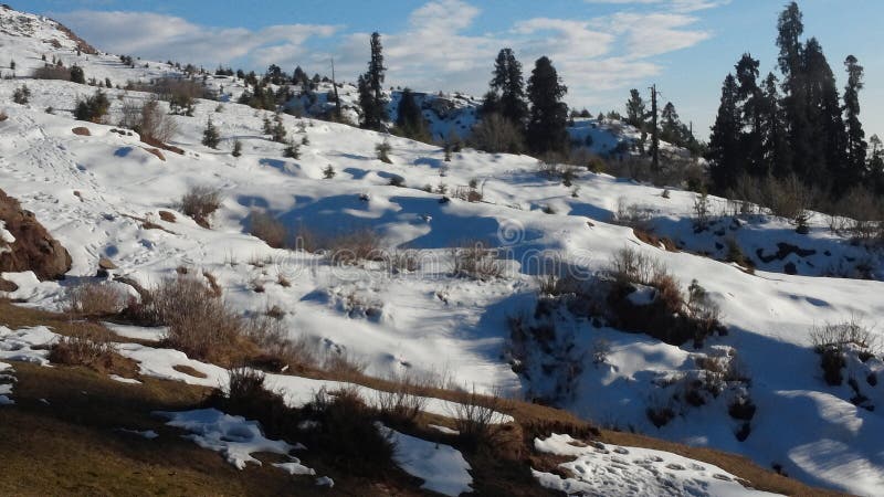 Snow covering the ground stock image. Image of covering - 153577979