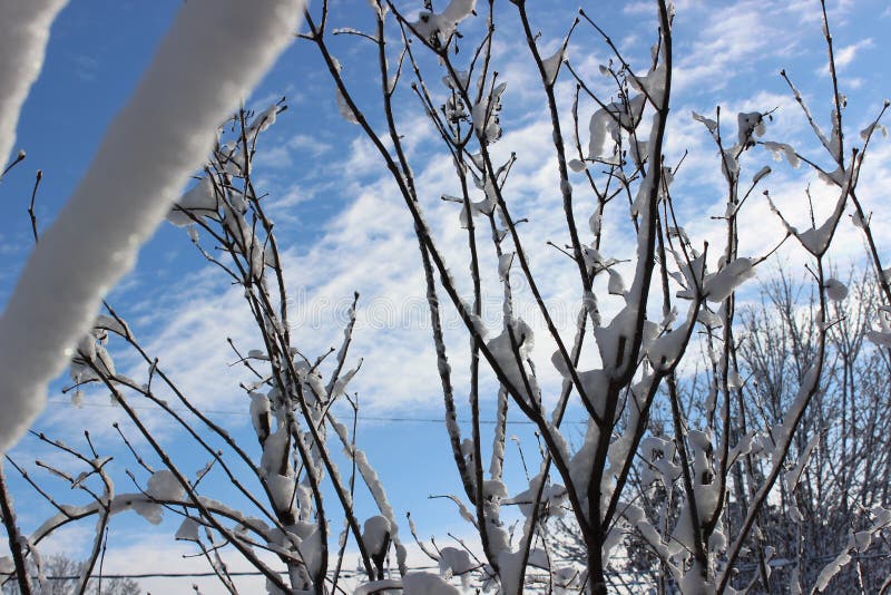 Snow Covers Nature with White Clouds and Blue Sky Stock Photo - Image ...